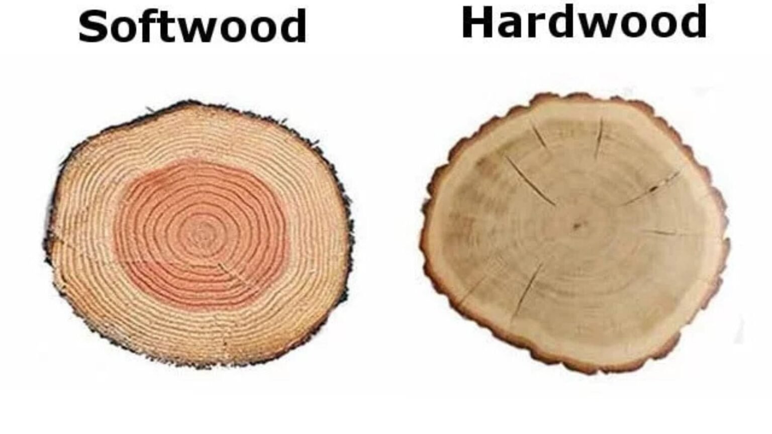 Differences Between Softwood And Hardwood Lumber